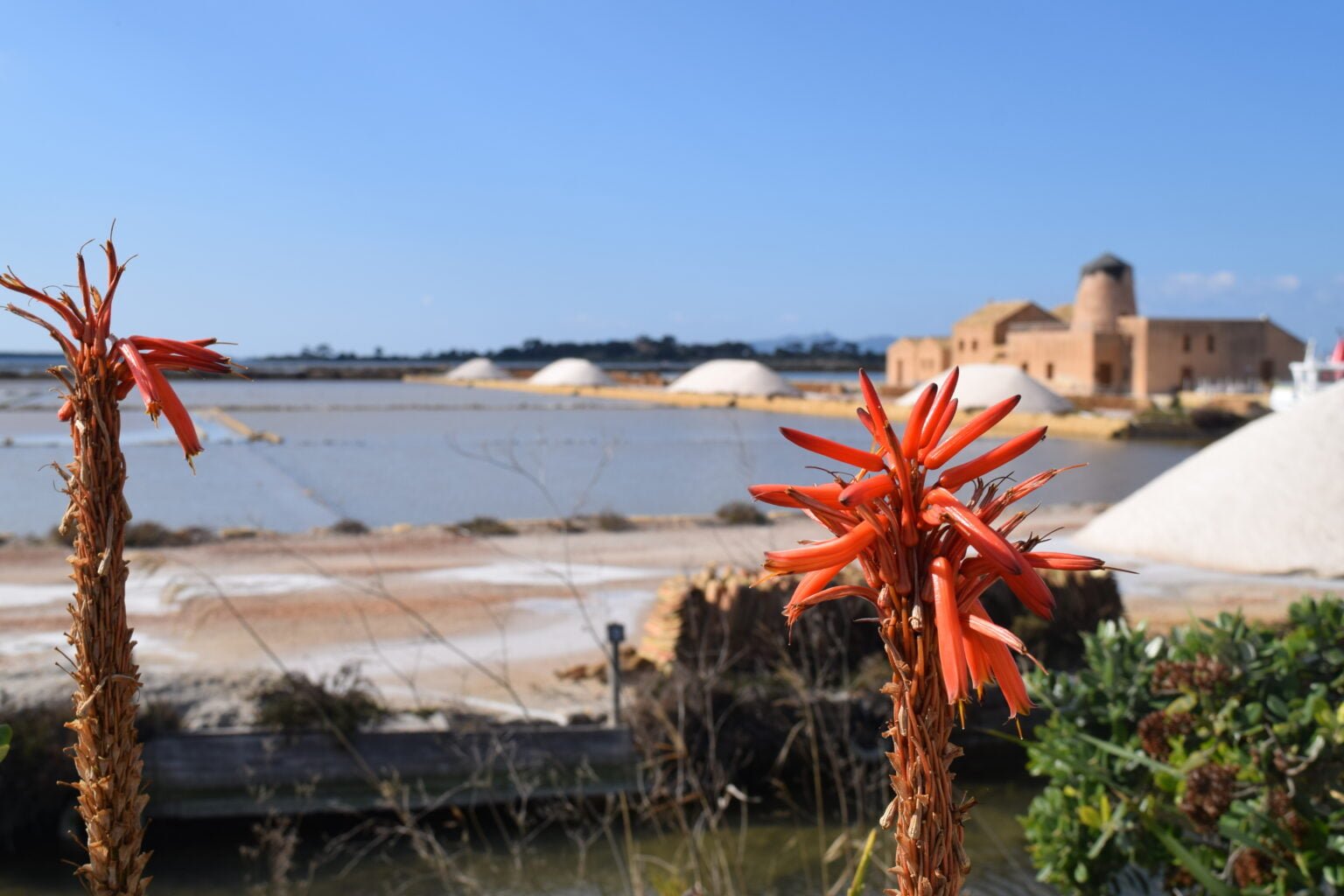 The Town of Marsala: It's About Wine & Salt Flats